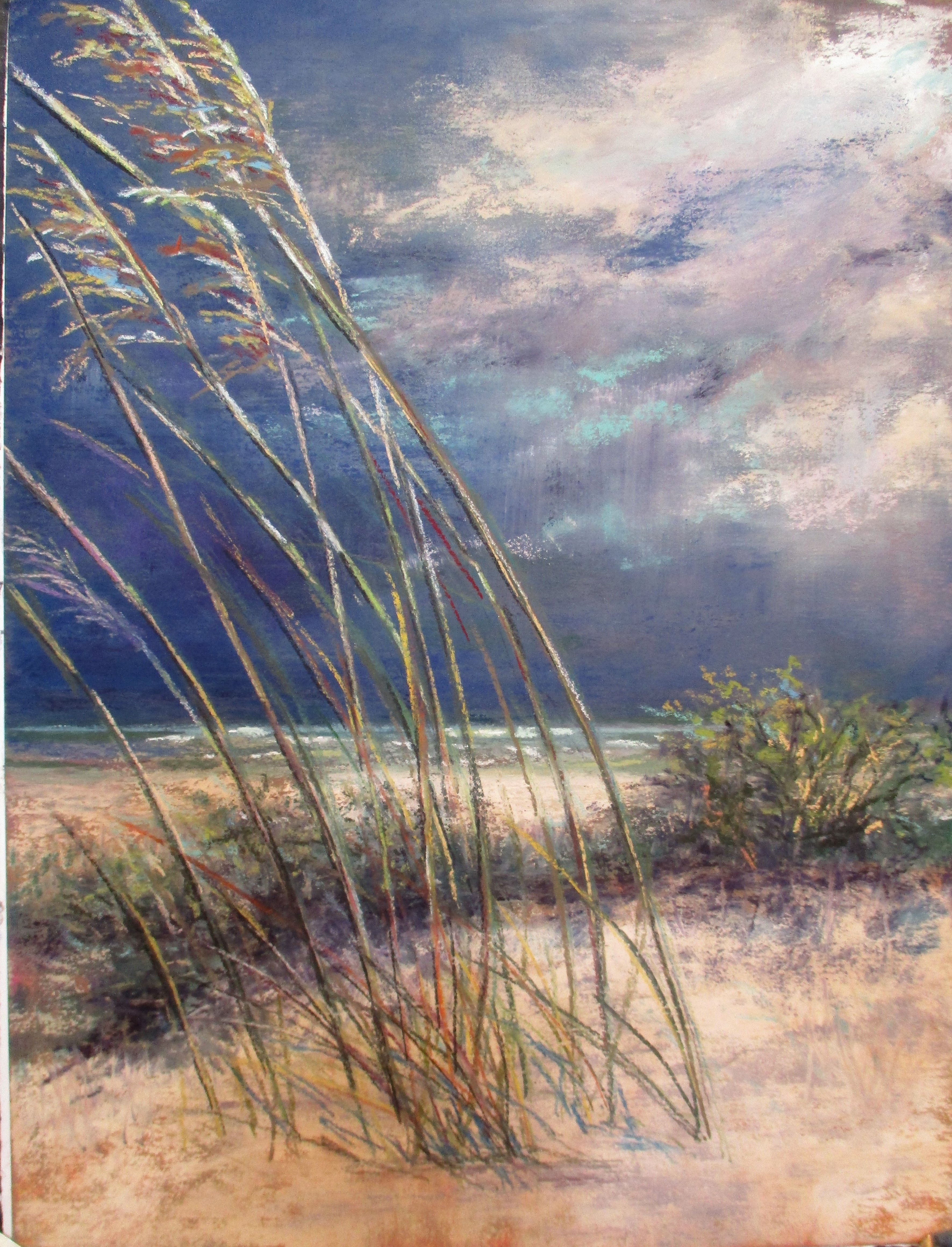 Award of Excellence: Dianne Gray “Blowing in the Wind” | Pastel Society ...